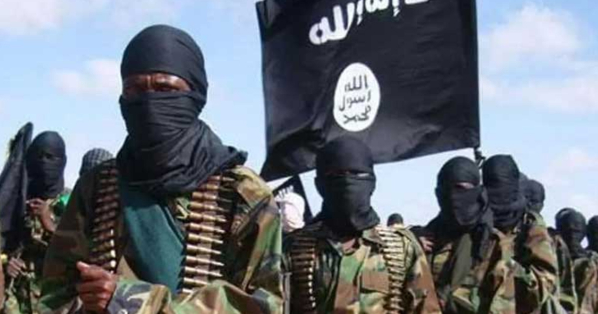 AFN - Lots to like about U.S. strike against Nigerian terror group ...