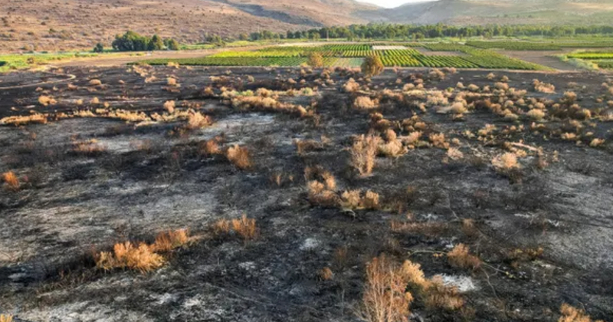 AFN - Archaeologists uncover biblical village near Galilee after wildfire