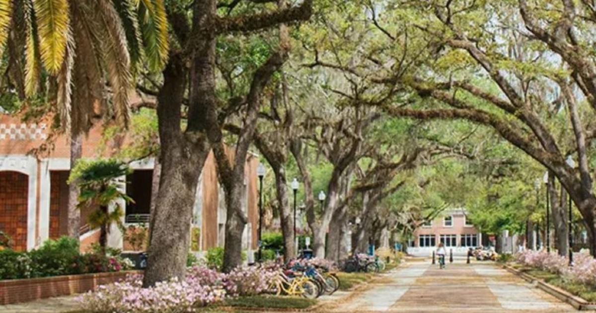 AFN - Some UF students chose to learn the hard way