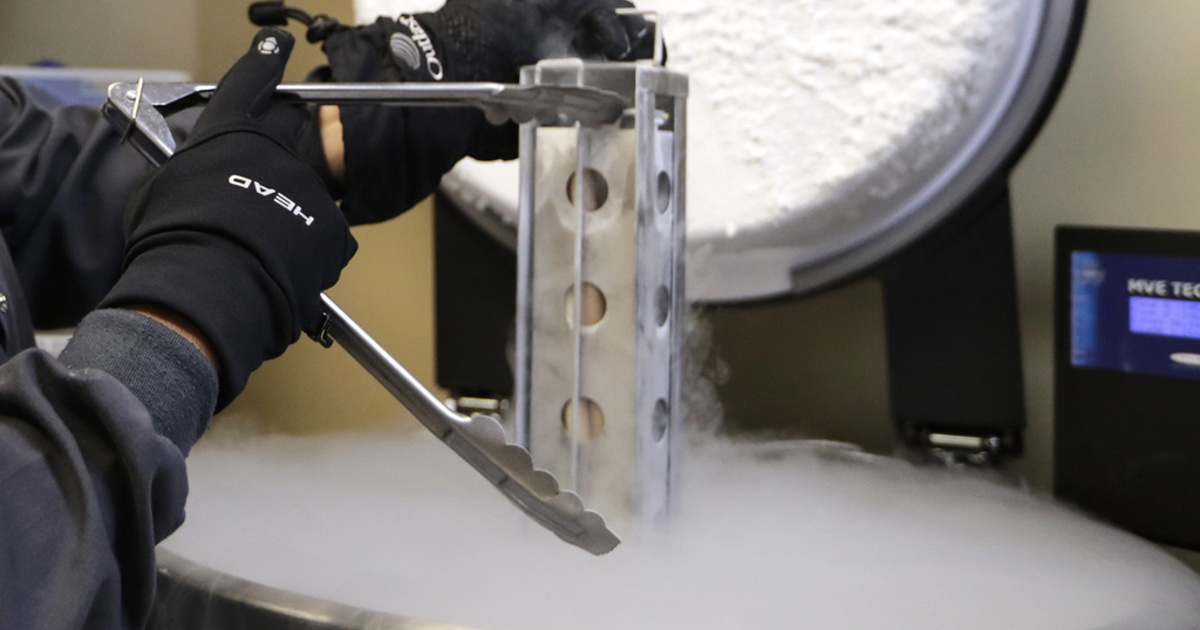 AFN - GOP filibuster helps block Democrats' 'show vote' on IVF