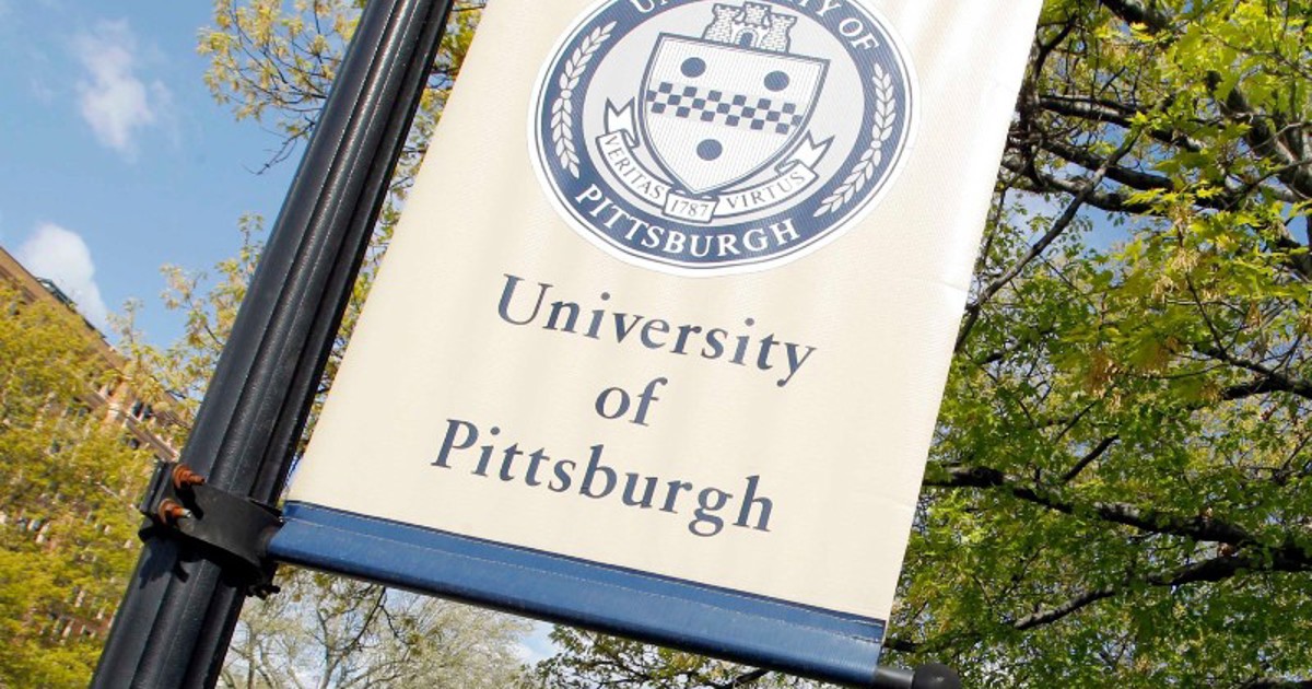 AFN - University removes student comments from professor surveys