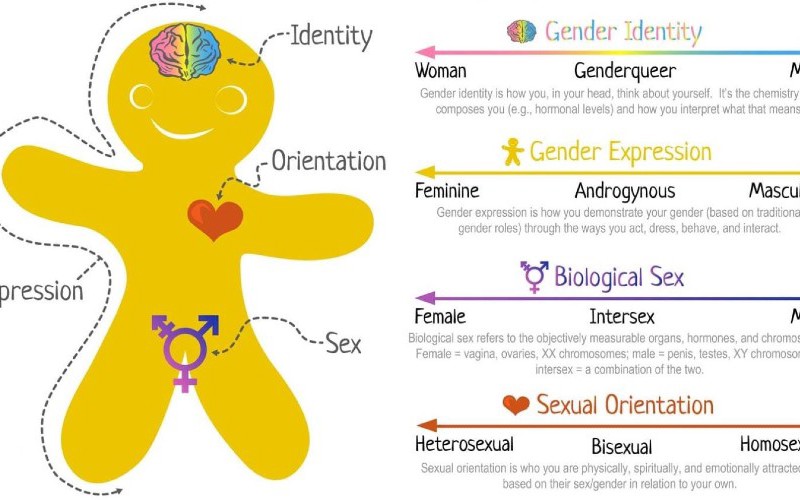 Ignoring frustrated parents, Fairfax orders 'gender identity' lessons ...