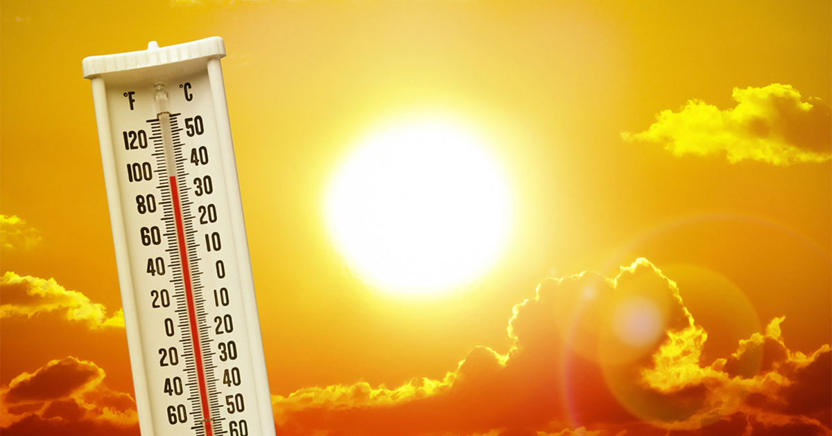 AFN - Too many factors to say recent heat spell constitutes climate change